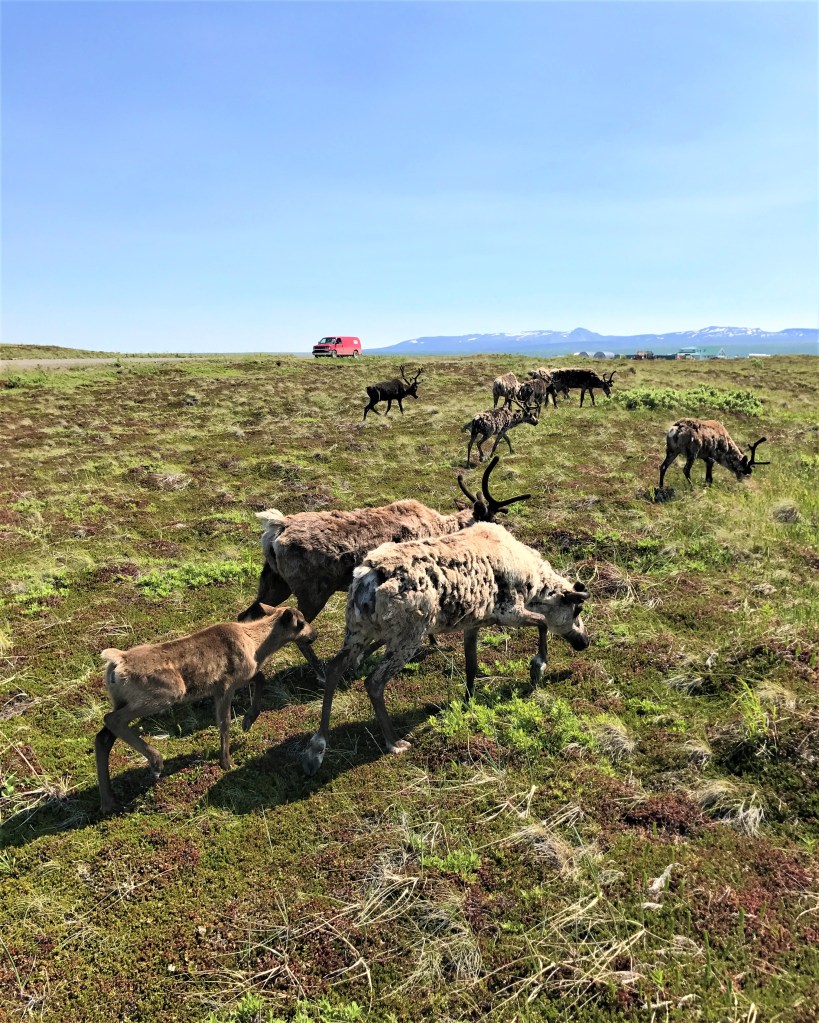 CoCo Chronicles #1 – Alaska: Village to Village